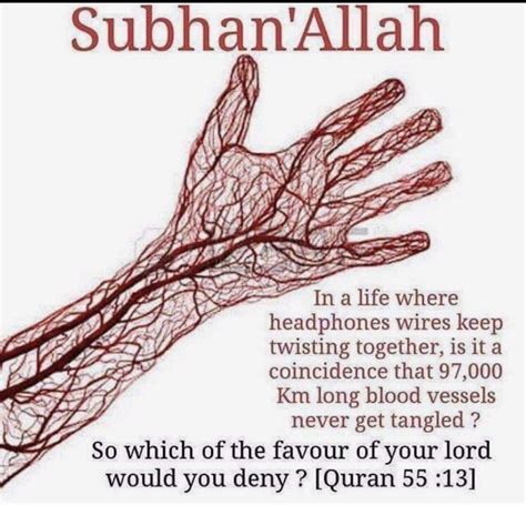 70 Best Allah Swt Images On Pholder Islam Muslim Marriage And Muslim