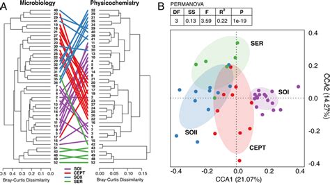 Relationships Between Microbial Community Structure And Physicochemical Download Scientific