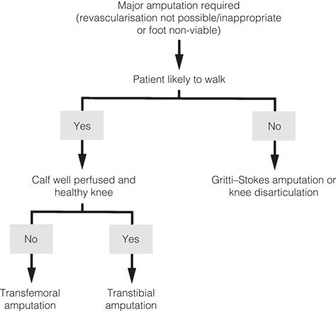 Amputation Rehabilitation And Prosthetic Developments Clinical Tree