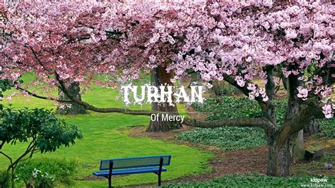 Turhan 3d Name Wallpaper For Mobile Write ترہان Name On Photo Online