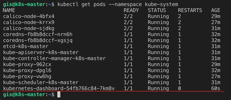 Instalar Kubernetes Dashboard En Tu Clúster Returngis