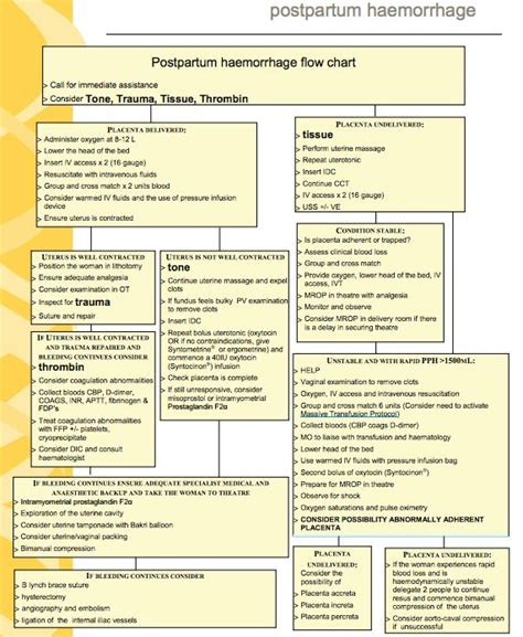 Ati System Disorder Template Postpartum Hemorrhage Printable Word