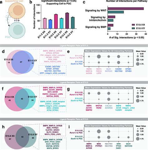 Single Nucleus Multiomics Reveals The Gene Regulatory Networks