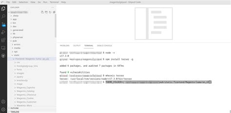 Stratus Magento Guides Terser Installation Documentation