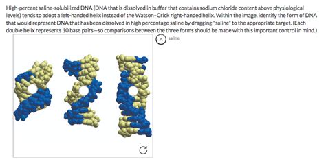 solved within the image identify the forms of dna that are