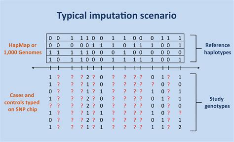 4 Schematic Of The Typical Imputation Scenario Replicated From Download Scientific Diagram