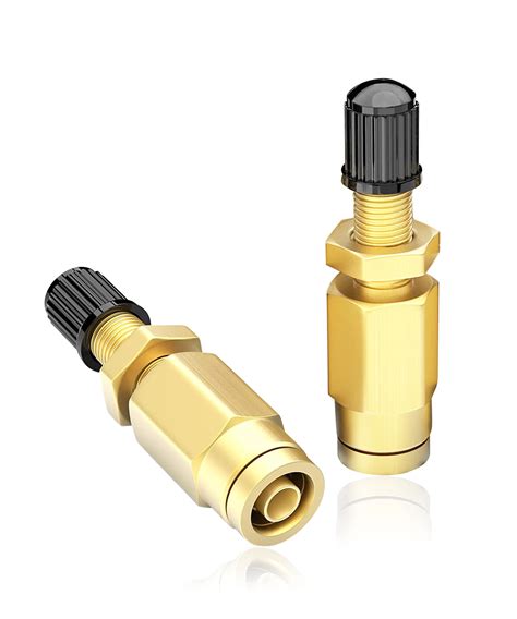 Buy 2 Packs 1 4“brass Inflation Schrader Valve Dot Approved With Push