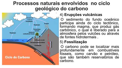 Ciclo Do Carbono Pdf