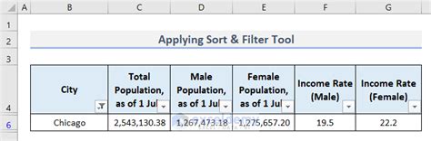 how to analyze demographic data in excel 5 essential methods