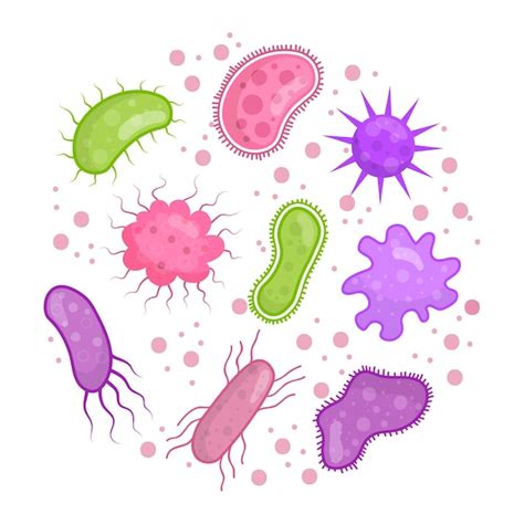 Imágenes De Dibujo Bacteria Descarga Gratuita En Freepik