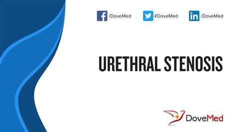 Urethral Stenosis