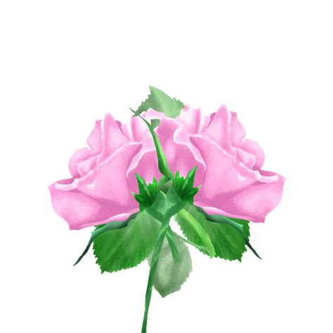Free Pink Roses Clipart Template To Edit Online