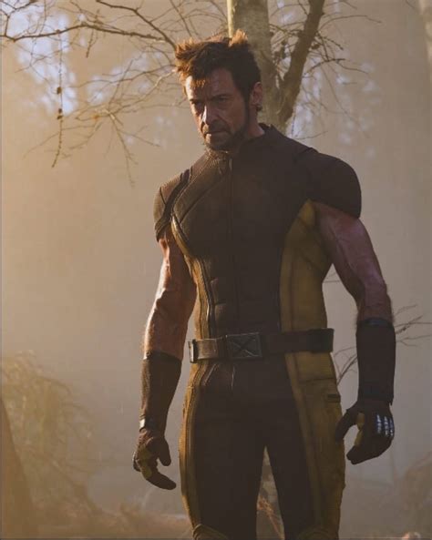 Hugh Jackman Wolverine Brown And Yellow Suit By Kingtchalla Dynasty On