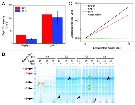 Full Article Downstream Processing Of Biopharmaceutical Proteins