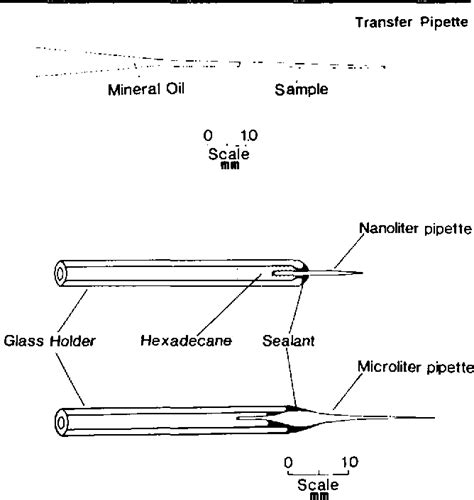 Figure 1 From Fluoride Analysis In Nanoliter And Microliter Size Fluid Samples Semantic Scholar