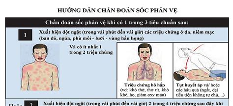 Tổng Hợp Những Hình ảnh Sốc Phản Vệ Hiện Thực Và Cách ứng Phó
