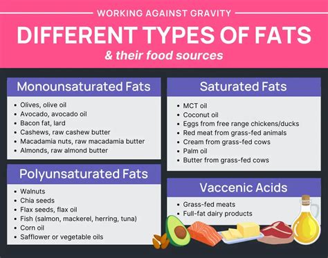 Different Types Of Fats Diagram