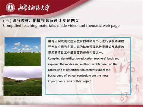 Project System And Implementation Strategy Of Combating International