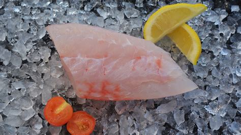 Blackfin Snapper Fillet Per Lb Keys Fresh Seafood