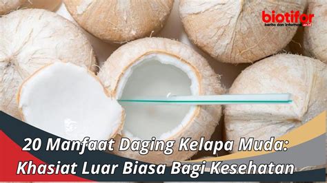 Manfaat Daging Kelapa Muda Id