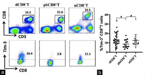 Tim 3 Cd8 T Cells Are Present In Human Decidual Tissues During The