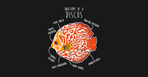 Discus Fish Anatomy Discus T Shirt Teepublic