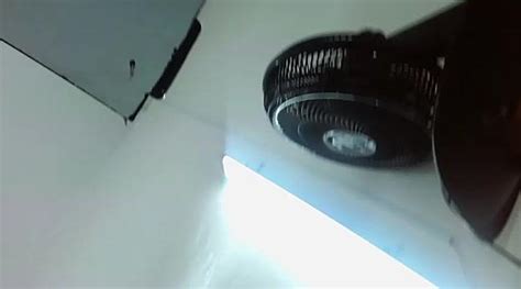 Bryan Angel From Stripchat Cambb Xxx