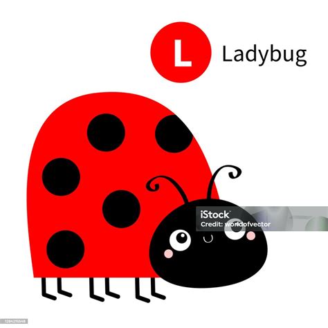 L Is For Ladybug
