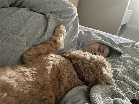 Morning Cuddles With My Big Bro 🥰🐶 Rubybthecavoodle Ruby Rubycavoodle Cavoodle Cavapoo