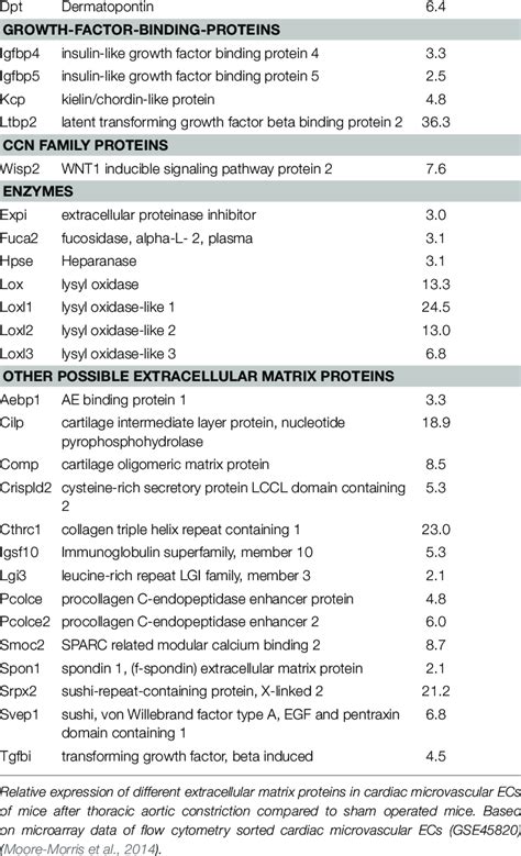 Continued Gene Protein Fold Extracellular Matrix Proteins Of Bones Download Table