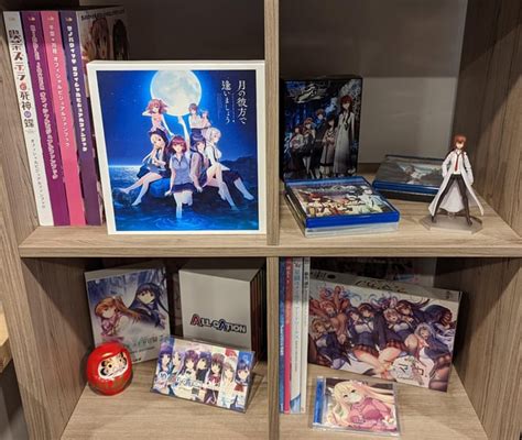 My Vn Physical Merch Collection R Vns