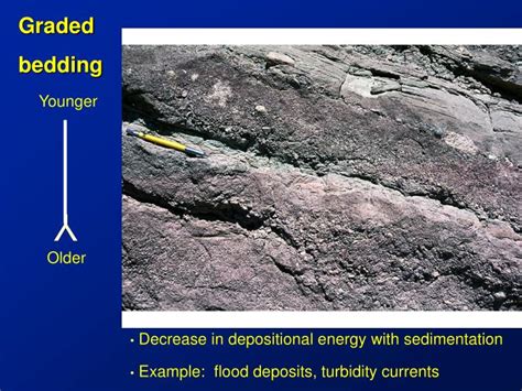 Ppt Geology 3120 Sedimentary Structures Powerpoint Presentation
