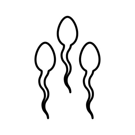 Sperm And Egg Vector Art Icons And Graphics For Free Download