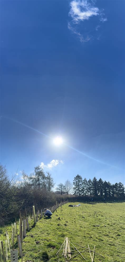 March 2025 Widgit Wilding Part Iii Widgit