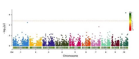 Github Pbrevisanalisis Gwas Análisis Gwas