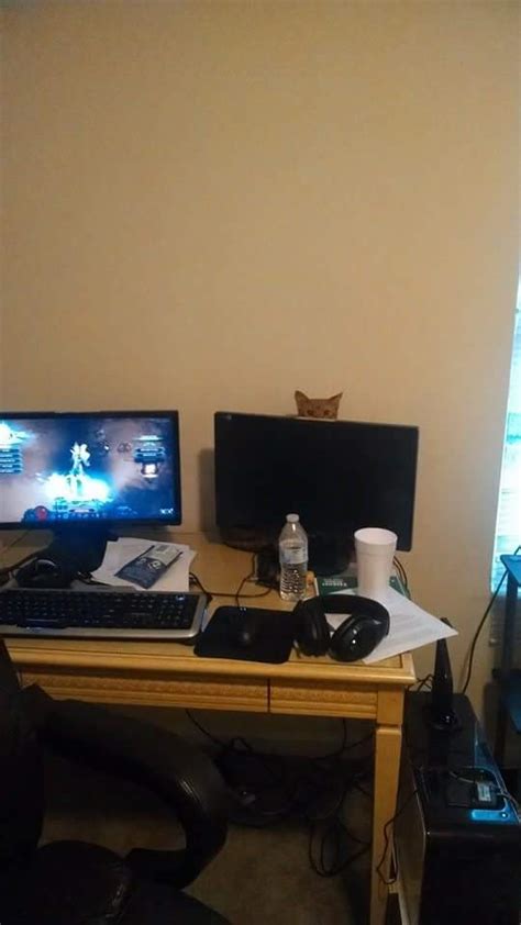 The Doorbell Rang This Is Where I Found Mr Kitty Raww