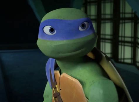 Nickelodeon Leonardo Tmnt Tmnt Leo Penguins Of Madagascar Nicktoons Green Turtle Tmnt 2012