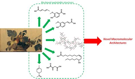 A Quantum Of Matter 22022023 Bio Based Macromolecular Architecture