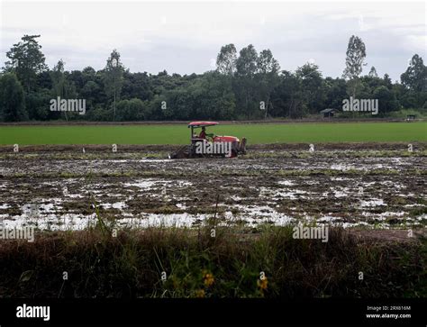 A Farmer Clear His Rice Field Using Motorized Plough Instead Of The Traditional Slash And Burn
