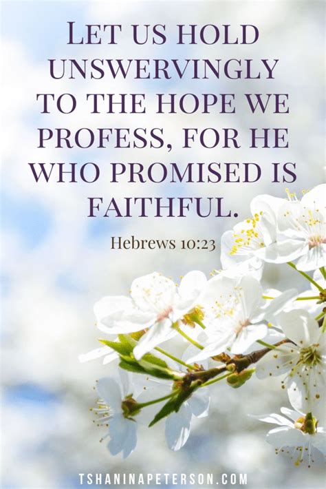 Renew Your Strength And Joy With 50 Bible Verses About Hope Tshanina