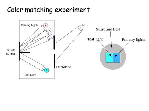 Perception Lecture Notes Color