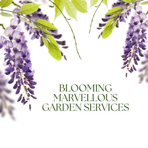 Scarifying Also Known As Dethatching Is A Lawn Care Process That