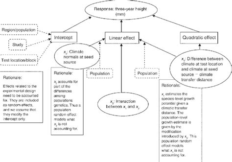 Graphical Summary Of The Fitted Linear Mixed Effects Quadratic Model Download Scientific