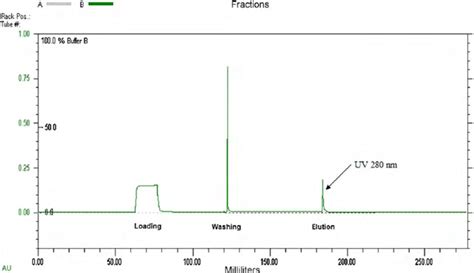 characterization of binding ability of pb 2 to the monolithic column