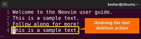 An Overview Of Neovim In Linux LinuxSimply
