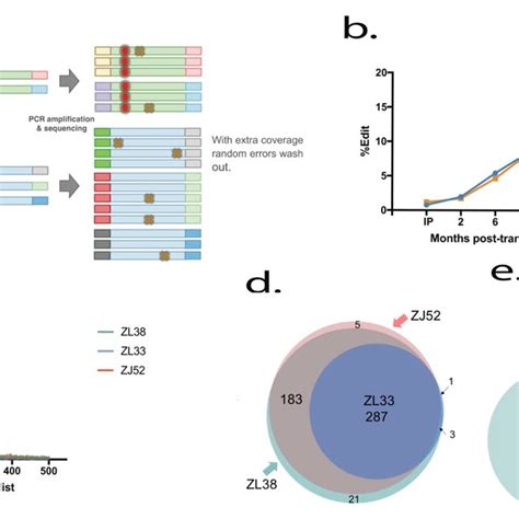 Ampliseq Hd Error Corrected Sequencing Panels A Ampliseq Hd