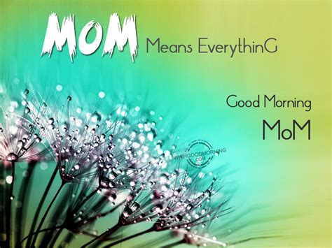 Good Morning Wishes For Mother Good Morning Pictures