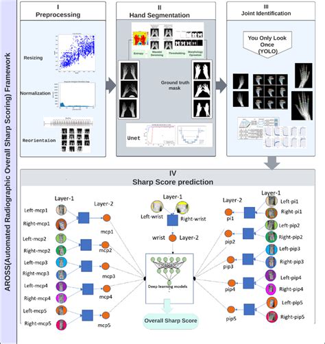 Overview Of The Workflow The Automated Radiographic Overall Sharp