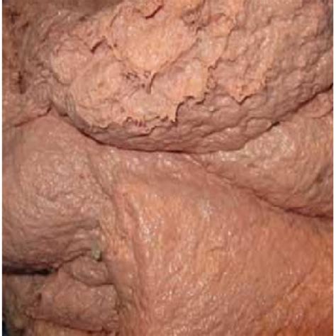 Animal Bone Paste Maker Animal Bone Paste Grinder Machine