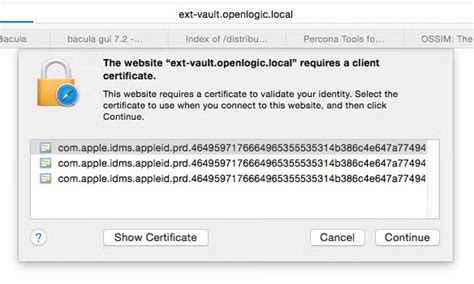 Apache Client Certificate Authentication Guide Openlogic